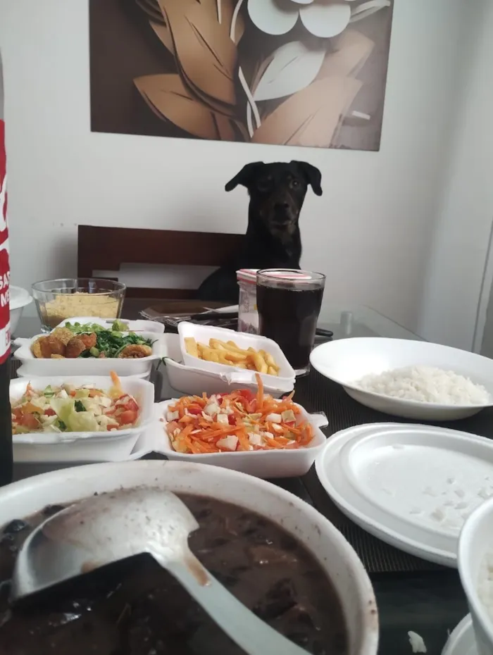 Adote o Théo: Cachorro Grande SRD, 8 meses, Santo André
